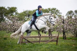Equine Feed and Herbal Supplements - Thunderbrook Equestrian
