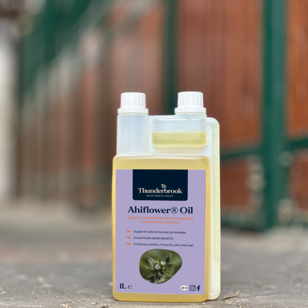 Plant-based omega oil for horses - Thunderbrook Ahiflower Oil